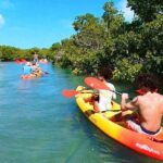 Key West Hidden Sanctuary Mangrove Kayak Tour With Drinks - Who Will Love This Tour?