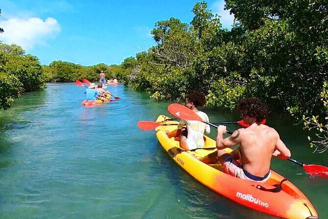 Key West Hidden Sanctuary Mangrove Kayak Tour With Drinks - Who Will Love This Tour?