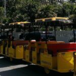 Key West Parasailing Shared Experience with Conch Train from Miami - Practical Details & Tips