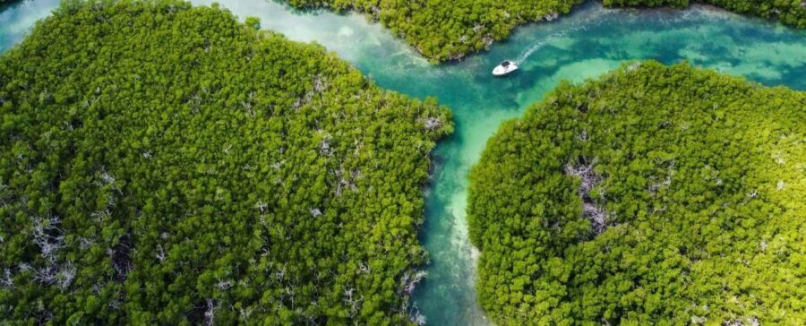 Key West: Private Boat Charter with Captain - Who Is This Tour Best For?