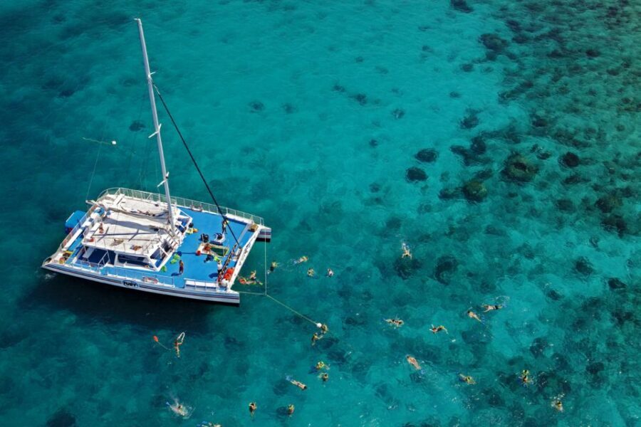 Key West: Reef Snorkeling with Drinks and Sunset Option - Who Will Love This Tour?