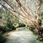 K'gari (Fraser Island) 4-Day Experience Tour From Hervey - Practical Details That Matter