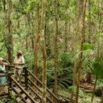 K'gari (Fraser Island) Explorer 2-Day Tour - The Value and Practicalities