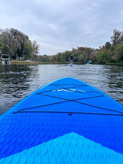 Kings Bay/Three Sisters: Self Guided Tour- ClearBottom Kayak - Overview of the Experience