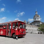 Kingston: Trolley City Tour - Who This Tour Is Best For