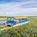 Kissimmee: 1 Hour Florida Everglades Pontoon Boat Tour - The Value and Who It’s Best For