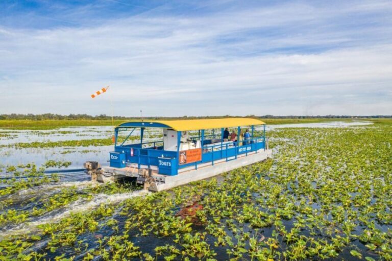 Kissimmee: 1 Hour Florida Everglades Pontoon Boat Tour