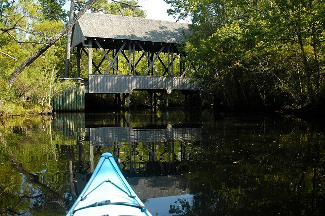 Kitty Hawk Maritime Forest Kayak Tour - The Experience from Guides and Reviews