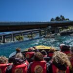 KJet Queenstown Jet Boat Ride on the Kawarau and Shotover Rivers - What’s Included and What’s Not