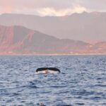 Ko Olina Captain's Sunset + Tasting - An Authentic Hawaiian Sunset Sail