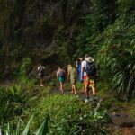 Koalas, Glow Worms & Kangaroos - Nature & Rainforest Walk - Why This Tour Works
