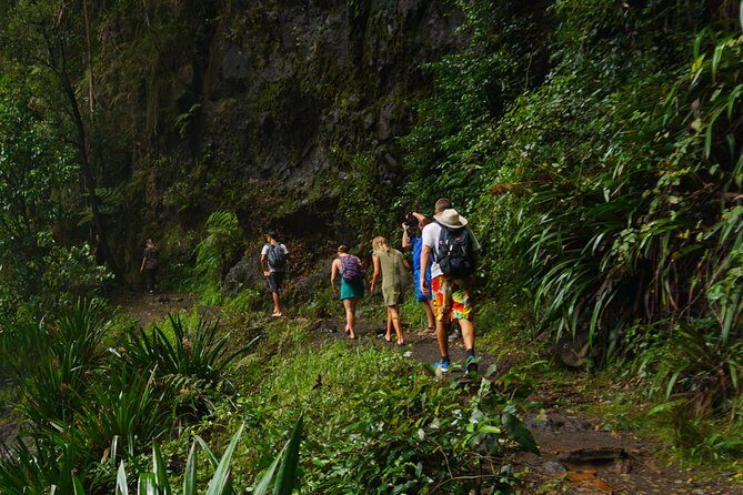 Koalas, Glow Worms & Kangaroos - Nature & Rainforest Walk - Why This Tour Works