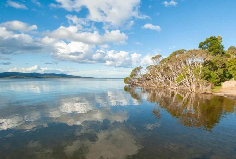 Koalas, Kangaroos and Lyrebirds - Full Breakdown of the Experience