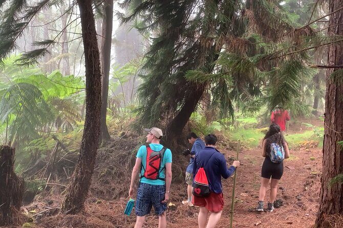 Kona Cloud Forest and Coffee Tour with Sea Turtle Beach Visit - Exploring the Kona Cloud Forest