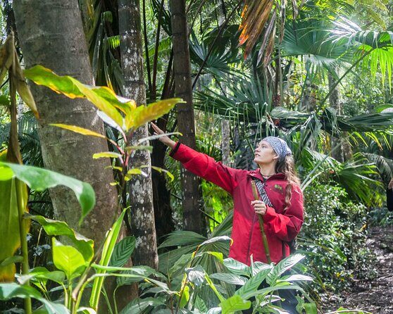 Kona Cloud Forest Sanctuary Pantropical Tour (1.5 hrs) - The Experience in Practice