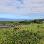 Kona Coffee Farm Tour from Tree to Tasting Room - Practical Details: What to Expect and Tips