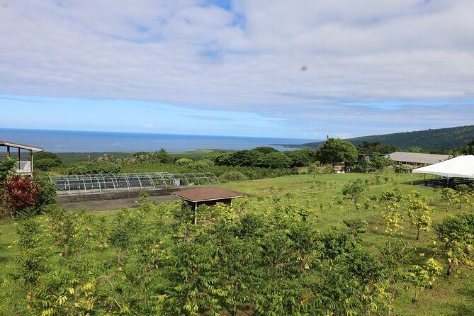 Kona Coffee Farm Tour from Tree to Tasting Room - Practical Details: What to Expect and Tips