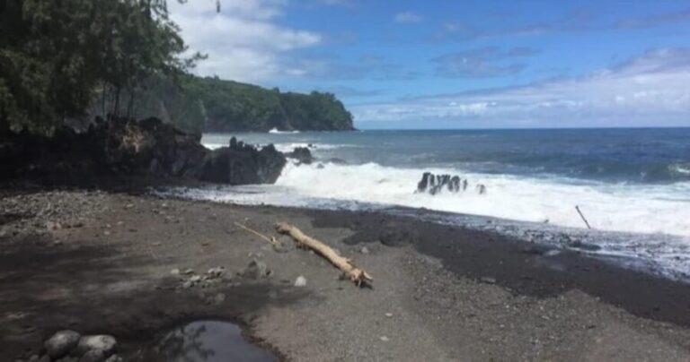 Kona: Heavenly Hamakua Guided Day Trip with Hotel Pickup - The Coastal Marvels: Laupahoehoe Point and Beyond