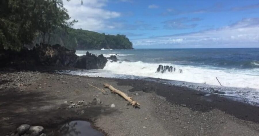 Kona: Heavenly Hamakua Guided Day Trip with Hotel Pickup - The Coastal Marvels: Laupahoehoe Point and Beyond