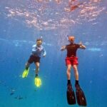 Kona Snorkeling Adventure Open Charter - Who Will Love This Tour?