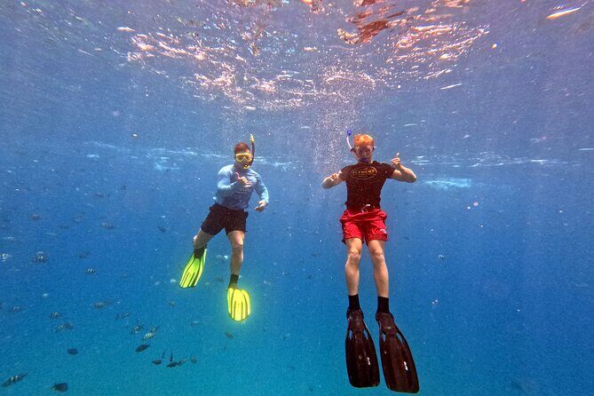 Kona Snorkeling Adventure Open Charter - Who Will Love This Tour?