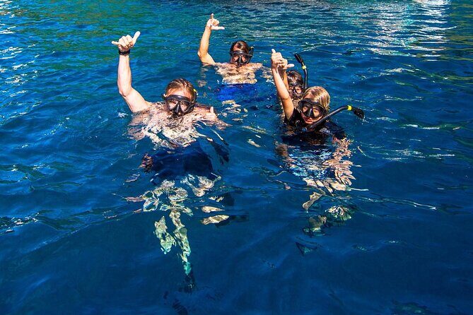 Kona Snorkeling Gear Rental Dive Into Adventure - Authentic Experiences from Other Travelers