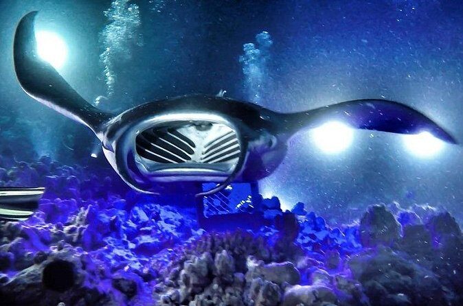 Kona Town Manta Sunset Snorkel - The Value of the Experience