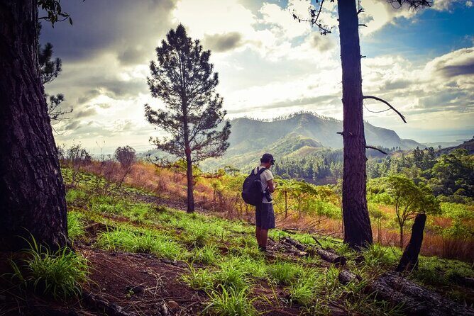 Koroyanitu National Heritage Park Fiji - Hike - Waterfall - Is This Tour Worth the Price?