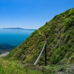 Kpiti Coast: Escarpment Track Guided Hiking Tour, Coffee + Lunch - Who Should Consider This Tour?