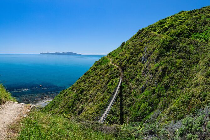 Kpiti Coast: Escarpment Track Guided Hiking Tour, Coffee + Lunch - Who Should Consider This Tour?