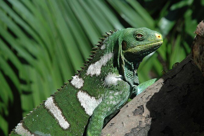 Kula Eco Park Admission - Is It Worth the Price?