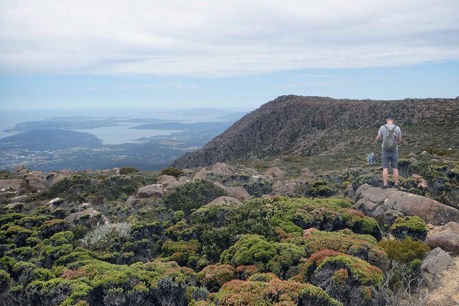 kunanyi/Mt Wellington Explorer Bus- Return Tour (2.5 hours) - Why the Tour Delivers Real Value