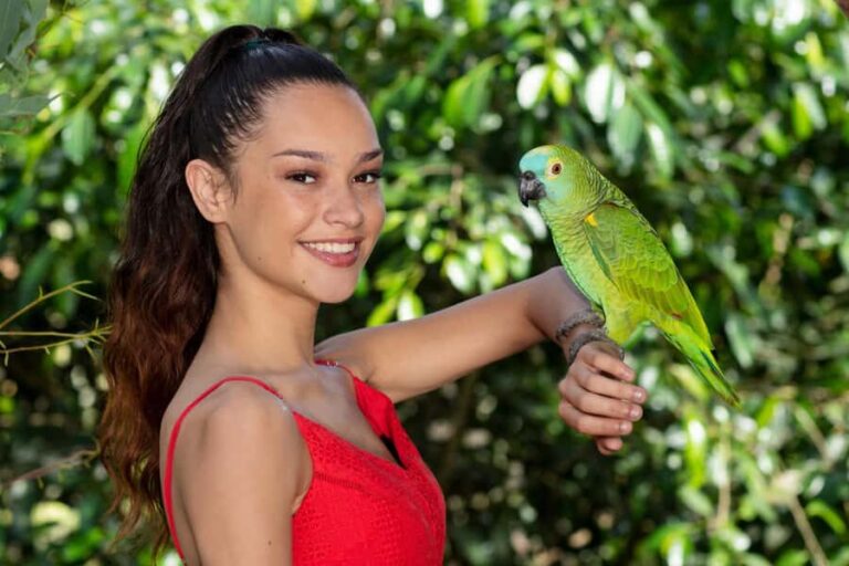 Kuranda: Birdworld Entry Ticket - Insights from Reviews and Visitors