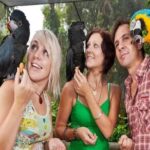 Kuranda Day Tour, TKS-3 Wildlife Gold 930 - Authentic Experiences Backed by Positive Reviews