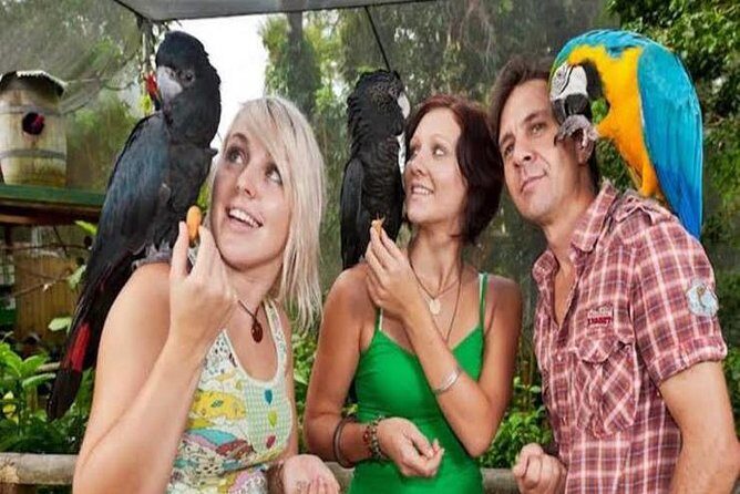 Kuranda Day Tour, TKS-3 Wildlife Gold 930 - Authentic Experiences Backed by Positive Reviews