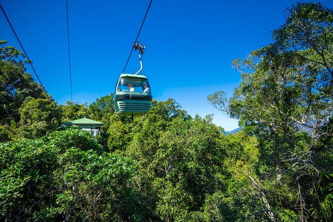 Kuranda Day Tour, TKS-RFS CLASSIC GOLD PLUS 0930 - Final Thoughts: Is This Tour Right for You?
