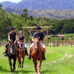 Kuranda Half Day with Petting Zoo & Horse Trail Ride Tour - Detailed Breakdown of the Experience