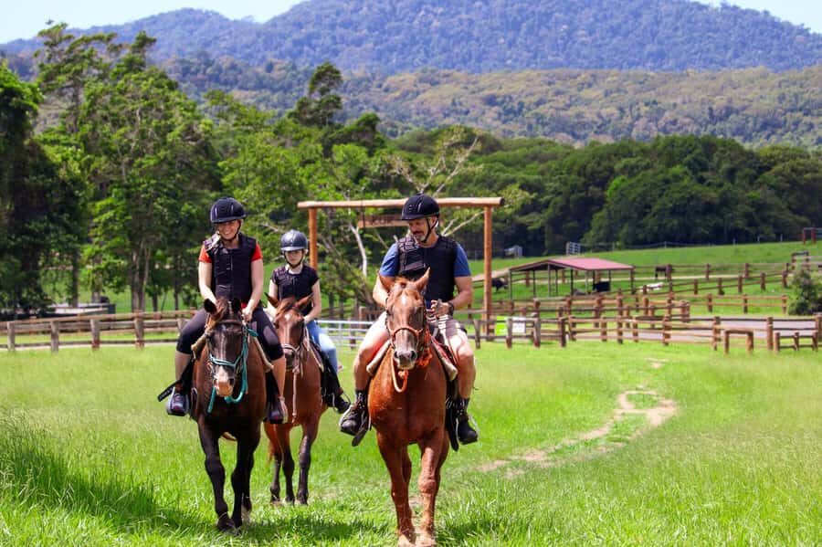 Kuranda Half Day with Petting Zoo & Horse Trail Ride Tour - Detailed Breakdown of the Experience