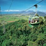 Kuranda & Hartley's Crocodile Adventures - Experience Breakdown: From Cairns to Crocodiles