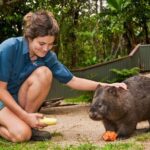 Kuranda Koala Gardens General Entry Ticket - Who Is This Experience Best For?