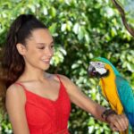 Kuranda Wildlife Experience: Koalas, Birds & Butterflies - Exploring the Details: What to Expect from the Tour