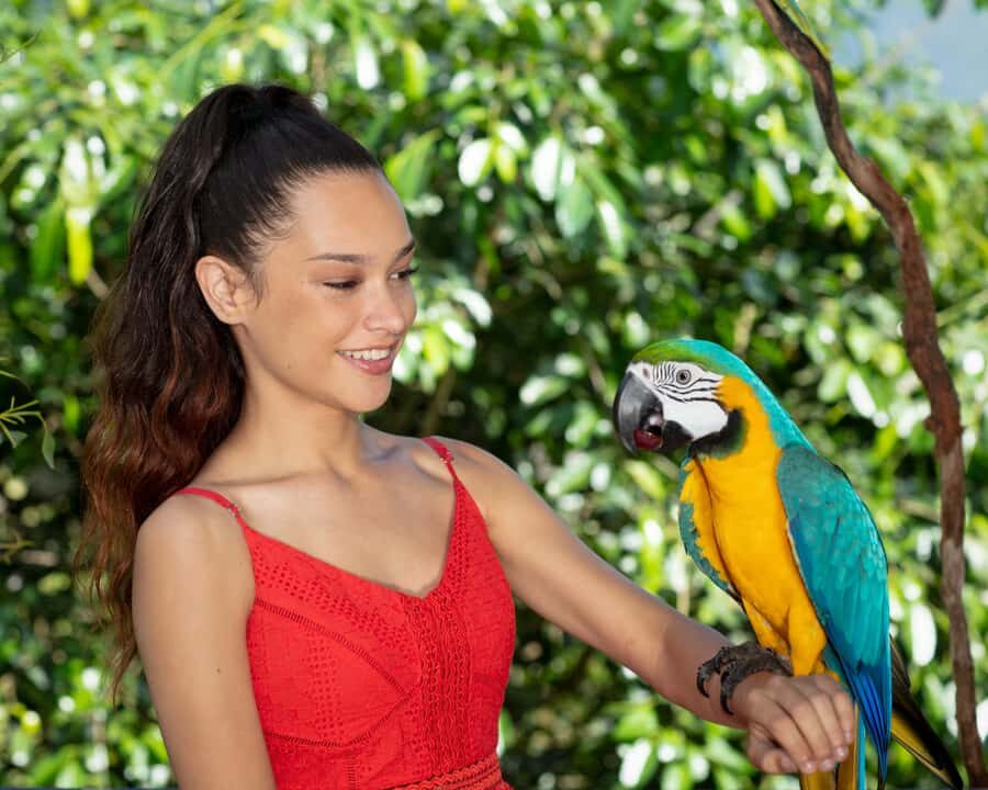 Kuranda Wildlife Experience: Koalas, Birds & Butterflies - Exploring the Details: What to Expect from the Tour