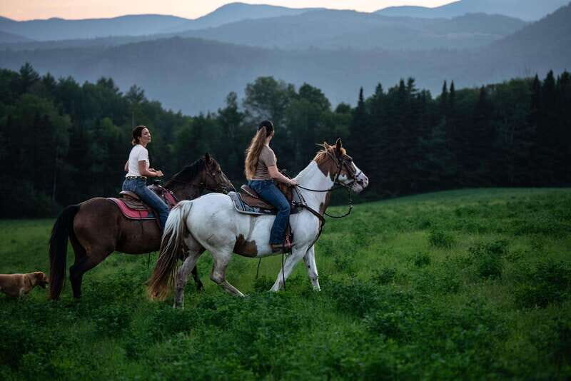 La Bleuetière: A charming introduction to horseback riding - Who Should Consider This Experience?