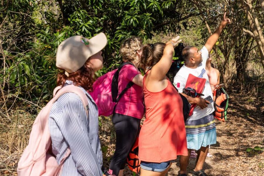 La Crucecita: Hiking and Snorkling/ Drinks and Fruits - An Overview of the Tour Experience