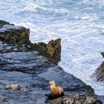 LA Day Trips to Casinos, Palm Springs, San Diego, Santa Barbara - Detailed Breakdown of Destinations