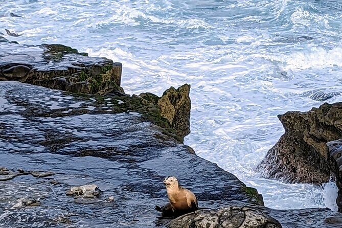 LA Day Trips to Casinos, Palm Springs, San Diego, Santa Barbara - Detailed Breakdown of Destinations