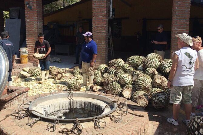 La Noria Village and Los Osuna Tequila Experience. - Transportation, Group Size, and Overall Value