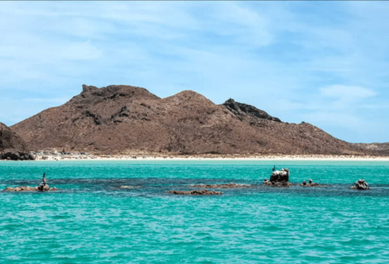 La Paz: Boat ride to Espiritu Santo island and sloop - What’s Included and What to Expect