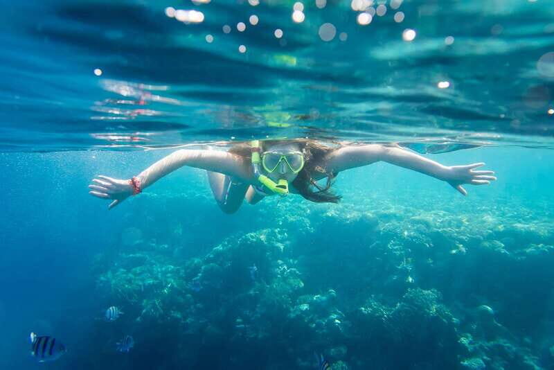 La Paz: Coral Farm Snorkel Tour - The Practicalities: Price, Equipment, & Accessibility