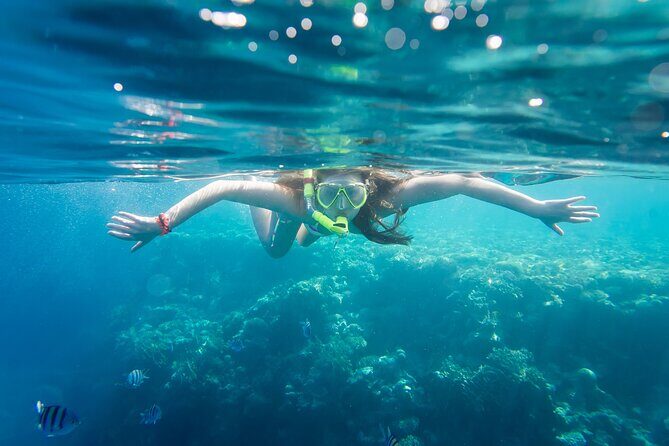 La Paz: Coral Farm Snorkel Tour - The Coral Nursery and Restored Ecosystems